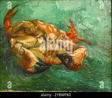 Vincent van Gogh, A crab on its back 1889. Oil on canvas. Van Gogh ...