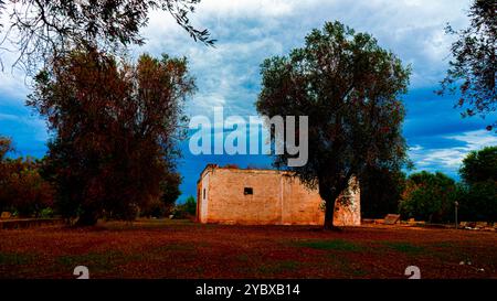 campagna di Puglia pianura del Salento Stock Photo - Alamy