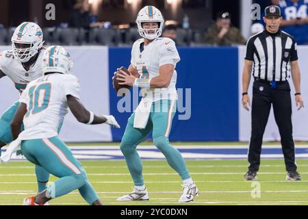 Miami Dolphins quarterback Tim Boyle sites on the bench during an NFL ...