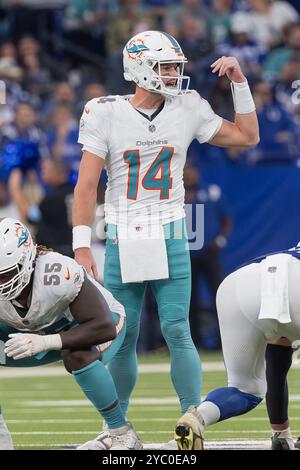 Miami Dolphins quarterback Tim Boyle sites on the bench during an NFL ...