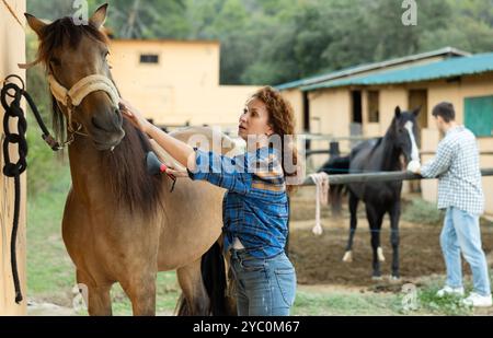 Skilled farmer woman caring horse in stable combing and cleaning coat ...