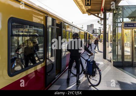 Tiergarten S-Bahn station with local and long-distance trains, Berlin ...