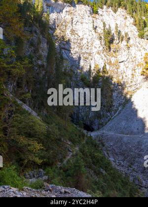 landscape of padis plateau in apuseni natural park of romania. amazing ...