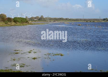 High tide on the Solway estuary at Gretna, Scotland Stock Photo - Alamy