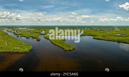 Overhead view of Everglades swamp with green vegetation between water ...