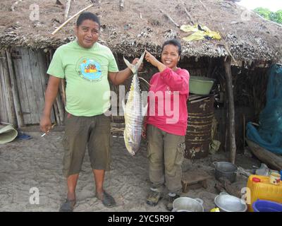 Giant Queenfish (Scomberoides commersonnianus) Actinopterygii Stock ...
