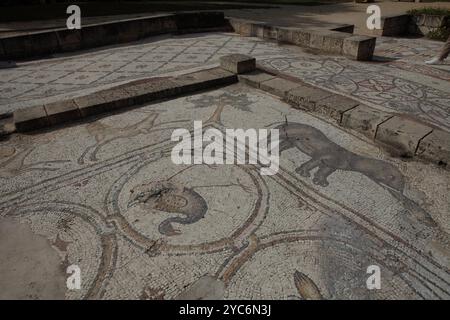 Birds mosaic, courtyard floor of a Byzantine palace from 600 AD, one ...