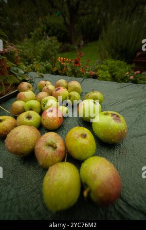 Age-defying, premium quality, eye-catching, stand-out, high resolution ...