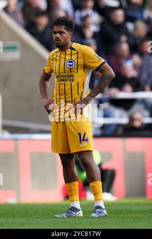 Georginio Rutter #14 of Brighton & Hove Albion F.C. warms-up before the ...