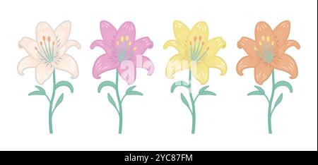 Lily flower four pink white yellow red outline and silhouette Lilium ...