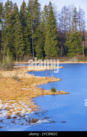 A wet, muddy winter scene with no people; sloppy land sludge and mud as ...
