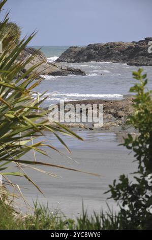 Beach at Constant Bay, West Coast, South Island, New Zealand, Oceania ...