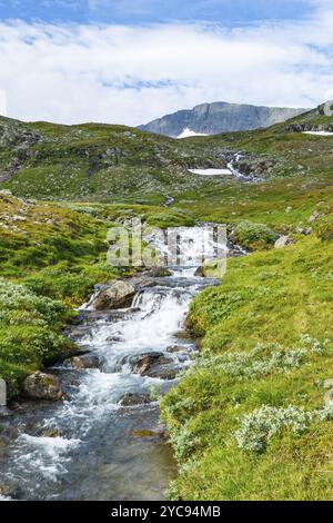 heath, moorland, heaths, moorlands Stock Photo - Alamy