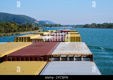 Barge, container ship Le Guardiana on the River Rhône, landscape of the ...