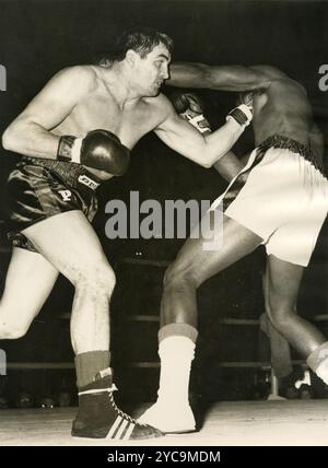 Italian professional boxer Piero Tomasoni and Hilton during a match ...