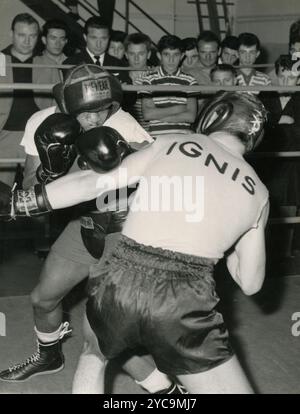 American professional boxer Eddie Perkins training, 1960s Stock Photo ...