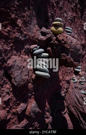 A small lizard basking on a stack of smooth pebbles against the rugged ...