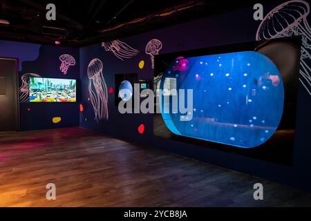 Exhibition room, aquarium, Odysseo Oceanarium Mauritius, show aquarium ...