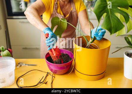 A person wearing gloves pours organic waste, including eggshells and ...