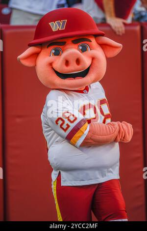 Washington Commanders mascot Major Tuddy walks on the sideline before ...