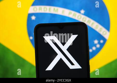 In this photo illustration, the logo of Brazilian insurance company Sul ...