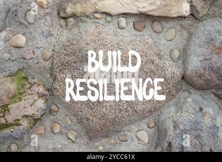 Build resilience symbol. Stone wall with words Build resilience ...