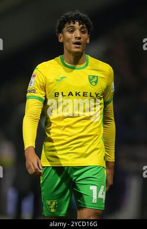 Norwich City's Ben Chrisene during the Sky Bet Championship match at ...