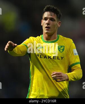 Norwich City's Ante Crnac during the Sky Bet Championship match at ...