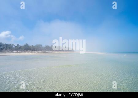 Foggy morning on beach at Moon Point, Fraser Island, Kgari, Hervey Bay ...