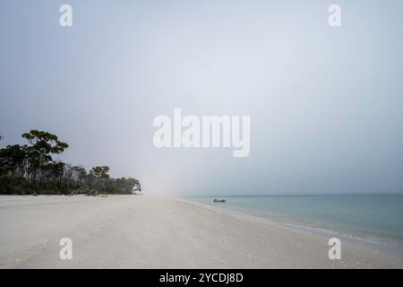 Foggy morning on beach at Moon Point, Fraser Island, Kgari, Hervey Bay ...