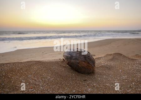 Nirvana Beach , Kumta. South India Stock Photo - Alamy