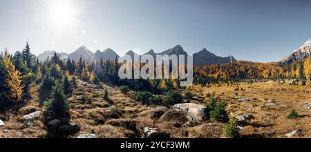 Larch Valley above Moraine Lake, Banff National Park, Alberta, Canada ...
