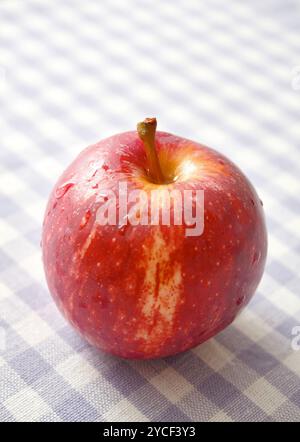 red ripe apple on checkered dishtowel Stock Photo - Alamy