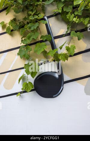 Clef on a wall, overgrown with vine leaves Stock Photo - Alamy