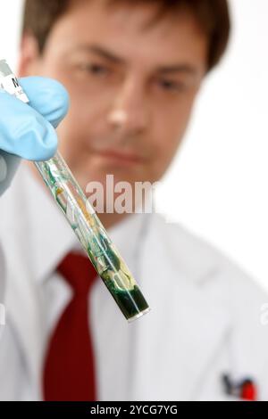 Crime Scene investigator testing a swab for blood Stock Photo - Alamy