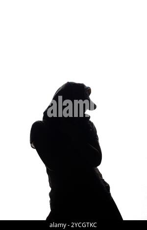 Backlight Studio Model Movement Stock Photo - Alamy