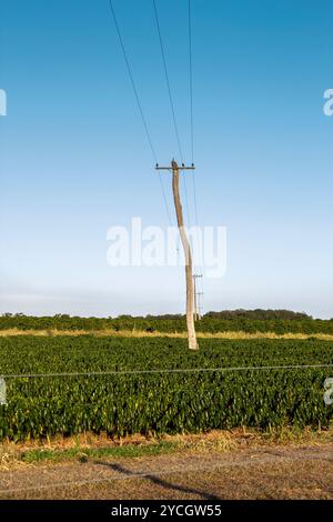 Electric pole, Electrical, São Paulo, Brazil Stock Photo - Alamy