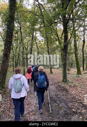 woman with backpack practicing hiking on country road Stock Photo - Alamy