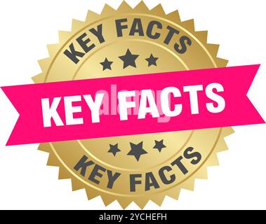 key facts round pink label isolated on transparent background. key ...