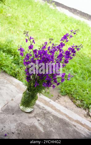 purple flower in jar Stock Photo - Alamy