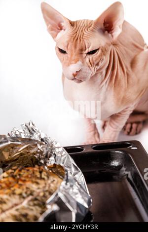 Cat meat at the grill Stock Photo - Alamy
