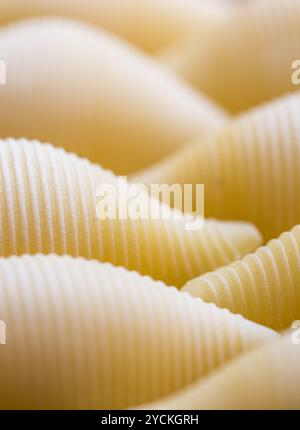 Ribbed dry yellow macaroni with periodic line Stock Photo - Alamy