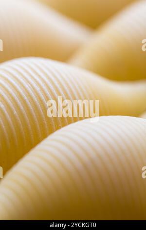 Ribbed dry yellow macaroni with periodic line Stock Photo - Alamy