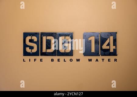 Each image features a different SDG, represented by its unique number ...