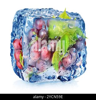 Green grape in ice cube isolated on white Stock Photo - Alamy
