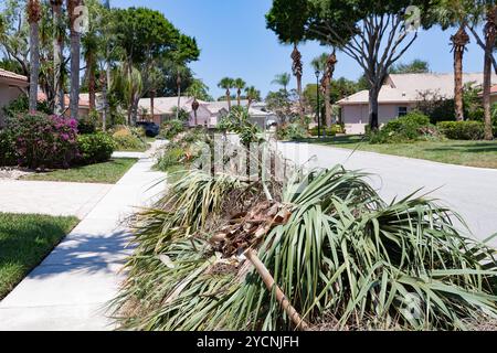 Trimming & Pruning Trees Before Hurricane Season in Florida Lessens The ...