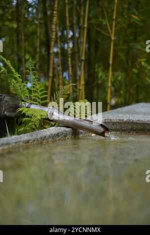 A zen bamboo water spout in a natural garden Stock Photo - Alamy
