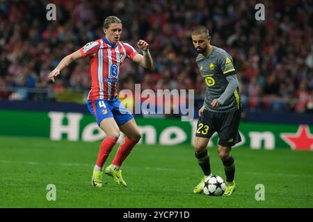 Conor Gallagher of Atletico de Madrid celebrates a goal 1-0 during the ...