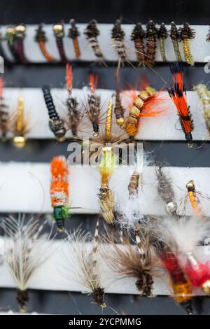 Different fly fishing bugs in box Stock Photo - Alamy