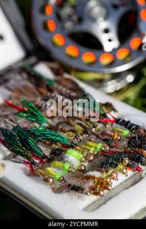 Fly fishing bugs and road with real Stock Photo - Alamy
